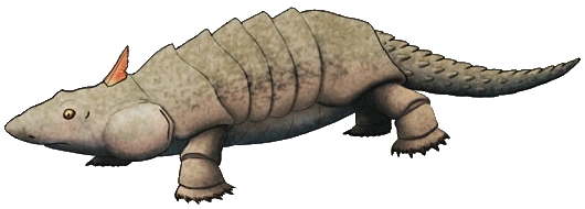 Basal shellshark | SciiFii Wiki | Fandom