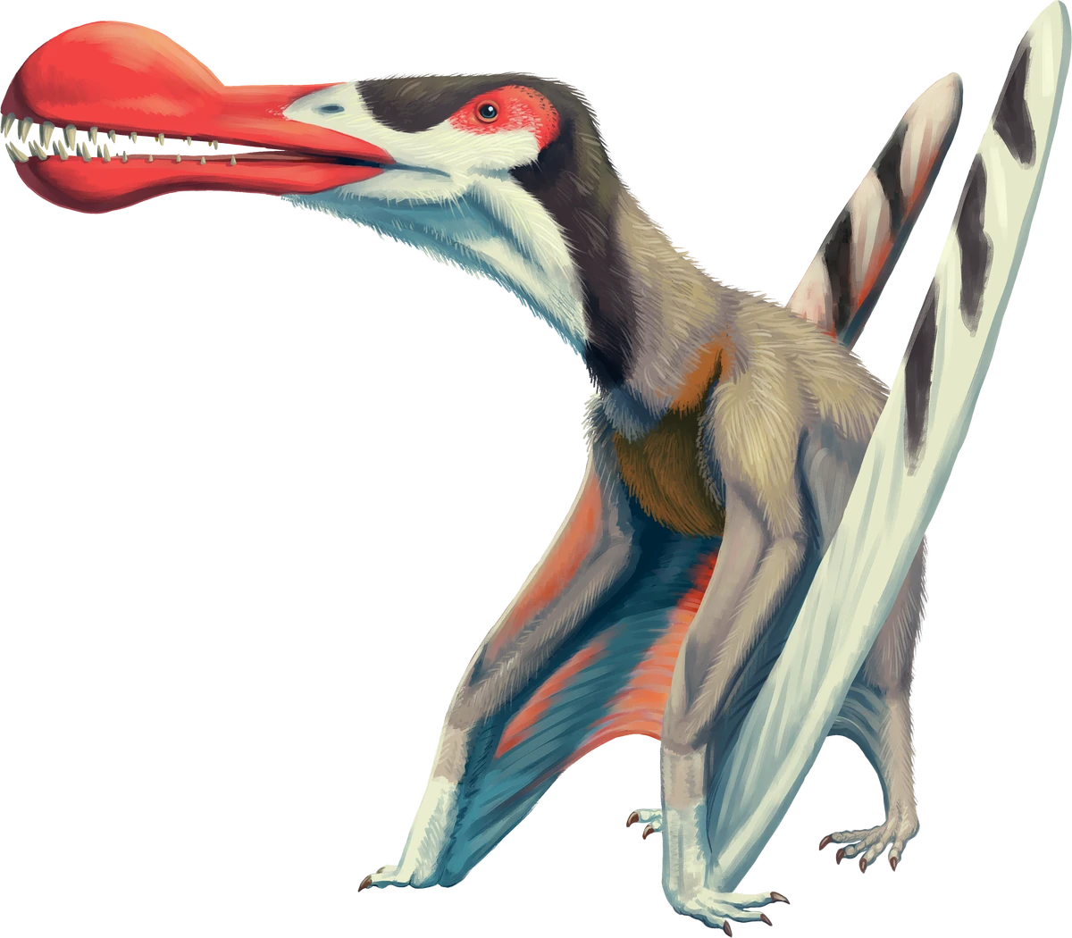 Arcupycnocheirus | SciiFii Wiki | Fandom