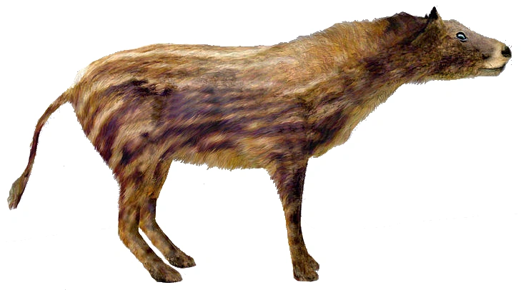 Eohippus | SciiFii Wiki | Fandom