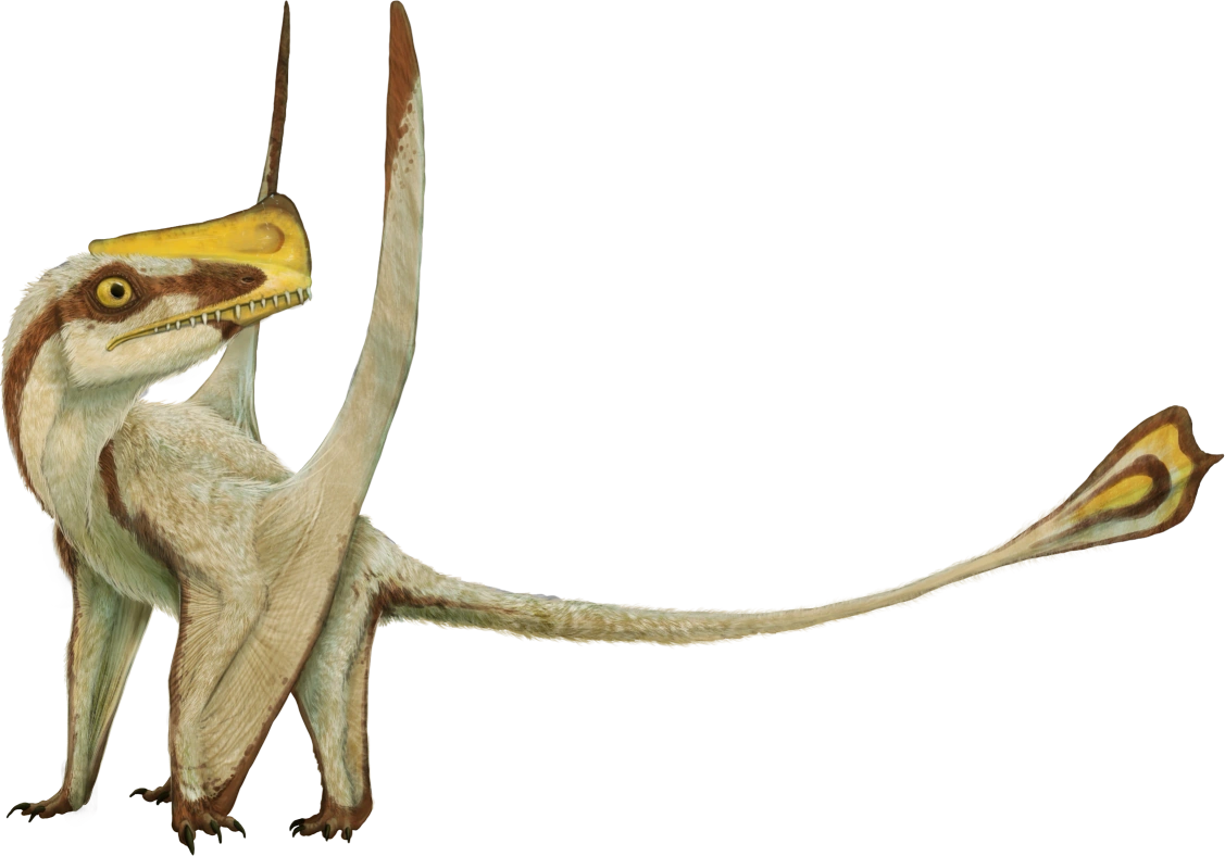 Austriadactylus | SciiFii Wiki | Fandom