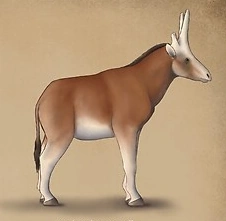 Bramatherium | SciiFii Wiki | Fandom