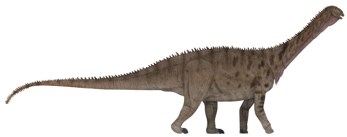 Haplocanthosaurus | SciiFii Wiki | Fandom