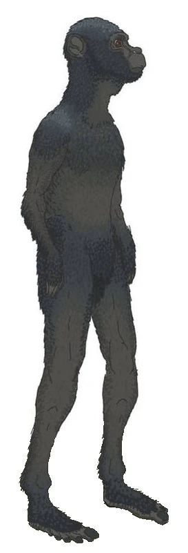 Plains-dweller | SciiFii Wiki | Fandom