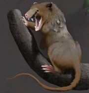 Deltatheridium | SciiFii Wiki | Fandom