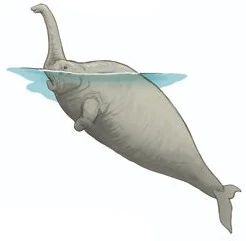 Greater sea elephant | SciiFii Wiki | Fandom