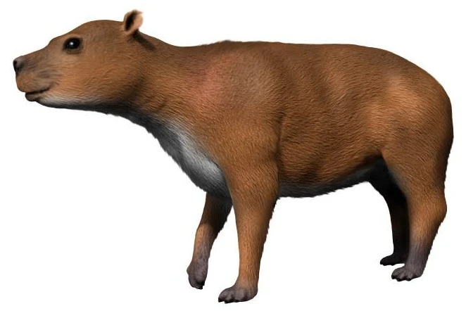 Sespia | SciiFii Wiki | Fandom