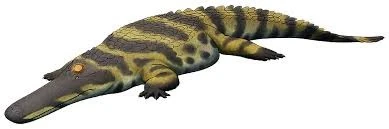 Aegisuchus | SciiFii Wiki | Fandom