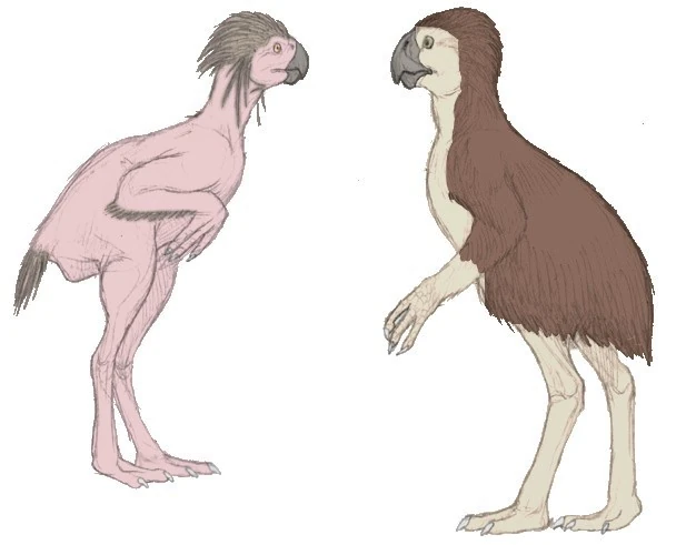 Carpo | SciiFii Wiki | Fandom