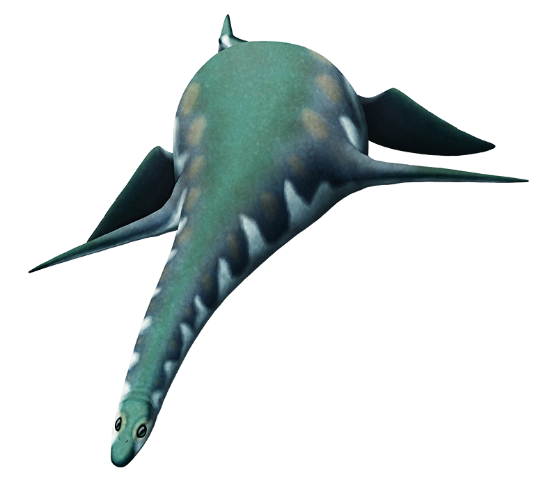 Cryptoclidus | SciiFii Wiki | Fandom