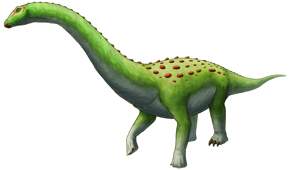 Quaesitosaurus | SciiFii Wiki | Fandom