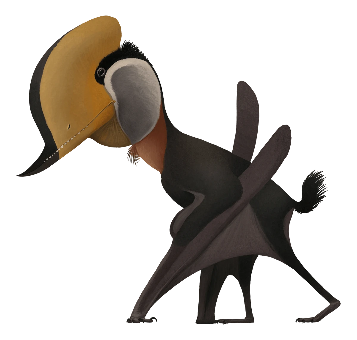 Domeykodactylus | SciiFii Wiki | Fandom