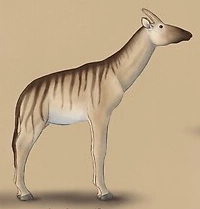 Samotherium | SciiFii Wiki | Fandom