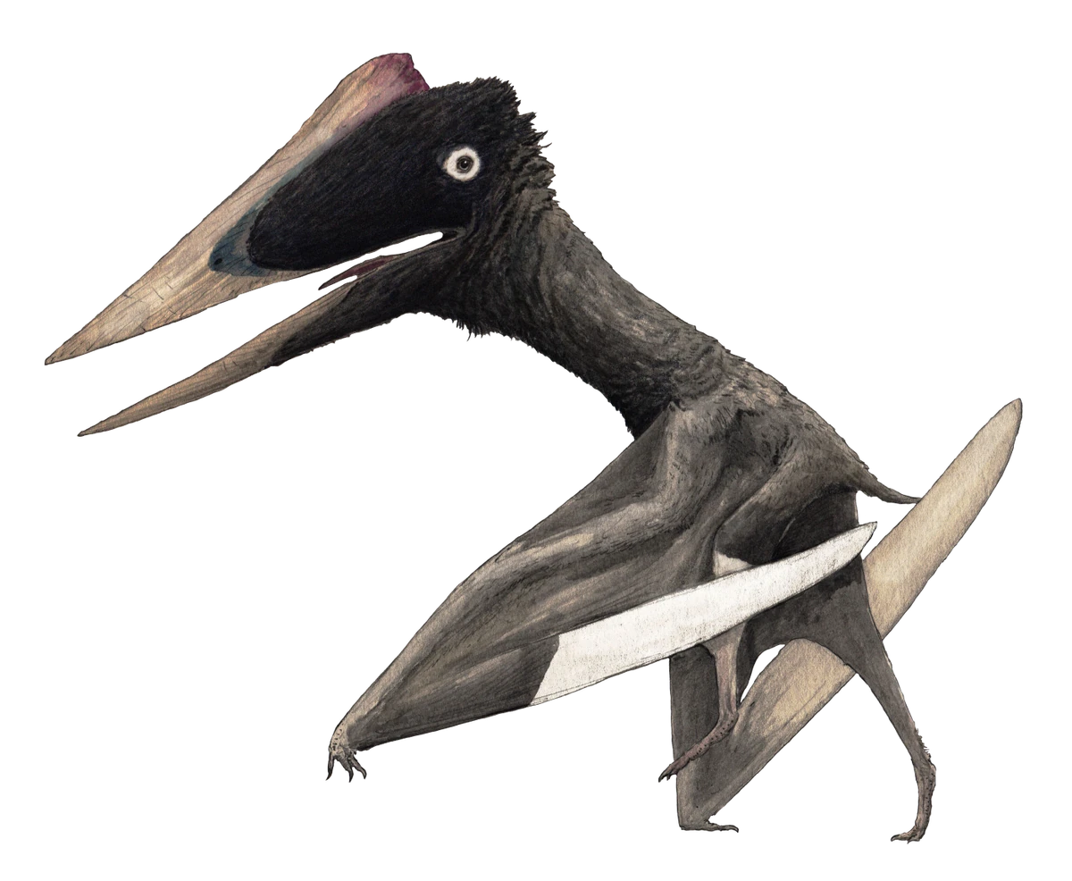 Hateg Island azhdarchid | SciiFii Wiki | Fandom