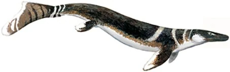 Platecarpus | SciiFii Wiki | Fandom