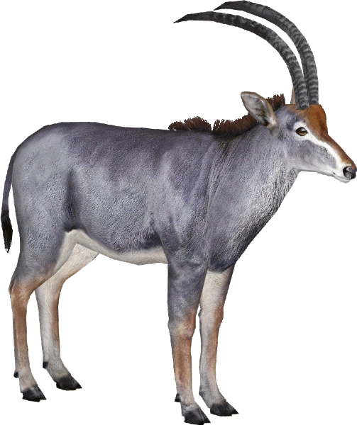 Bluebuck | SciiFii Wiki | Fandom