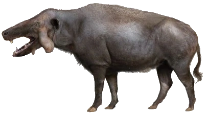 Megachoerus | SciiFii Wiki | Fandom