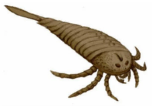 Drepanopterus | SciiFii Wiki | Fandom