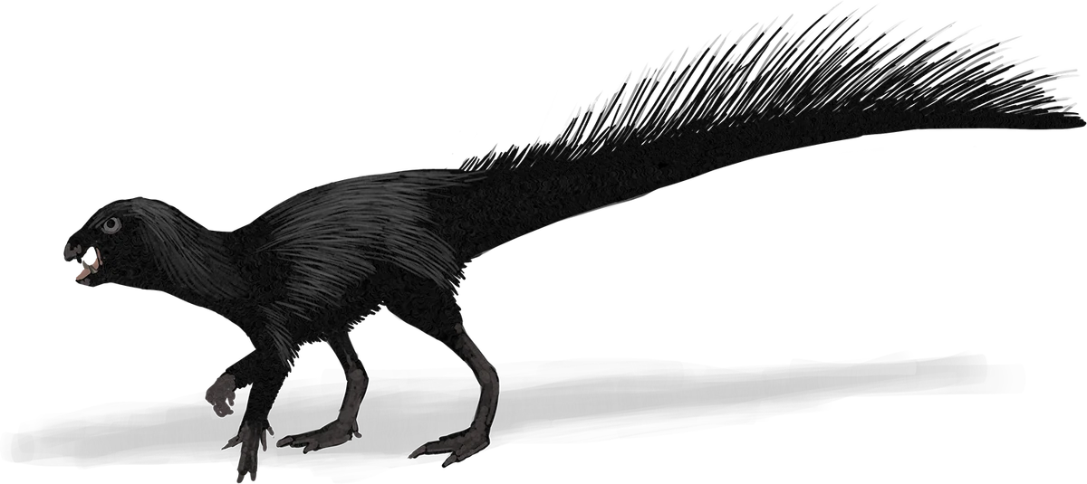 Heterodontosaurus | SciiFii Wiki | Fandom