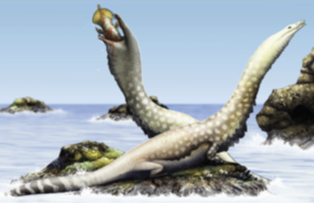 Nothosaurus | SciiFii Wiki | Fandom