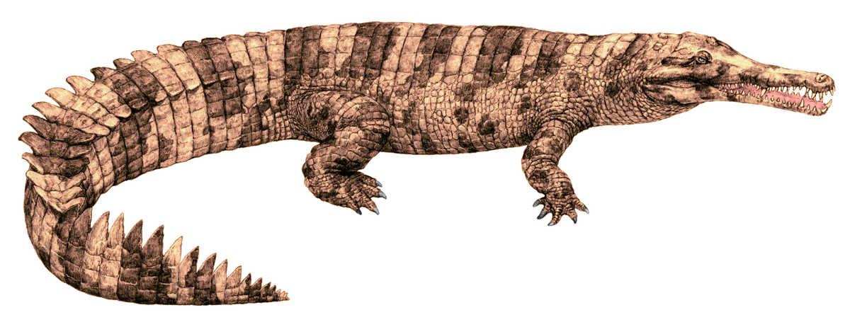 Hanyusuchus | SciiFii Wiki | Fandom
