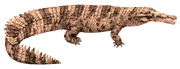 Hanyusuchus | SciiFii Wiki | Fandom