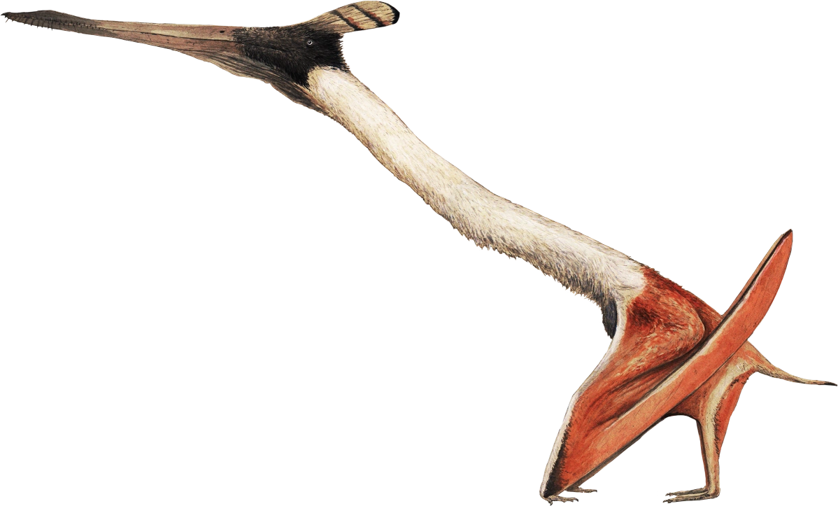 Moganopterus | SciiFii Wiki | Fandom