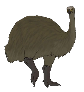 Heavy-footed moa | SciiFii Wiki | Fandom