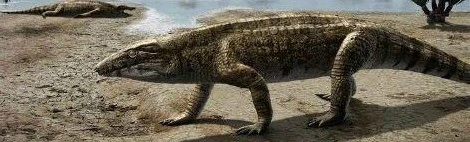 Notosuchus | SciiFii Wiki | Fandom
