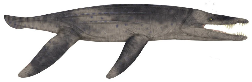 Liopleurodon | SciiFii Wiki | Fandom