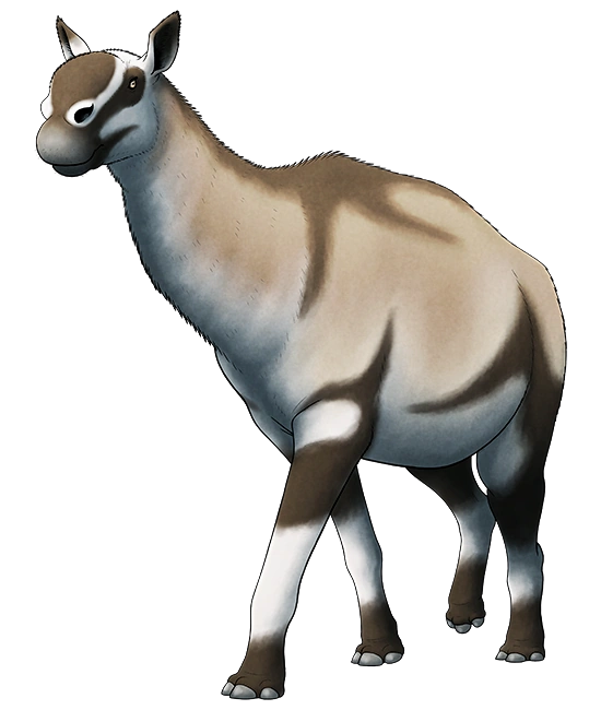 Xenorhinotherium | SciiFii Wiki | Fandom