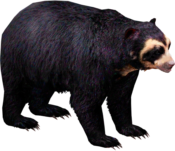California spectacled bear | SciiFii Wiki | Fandom