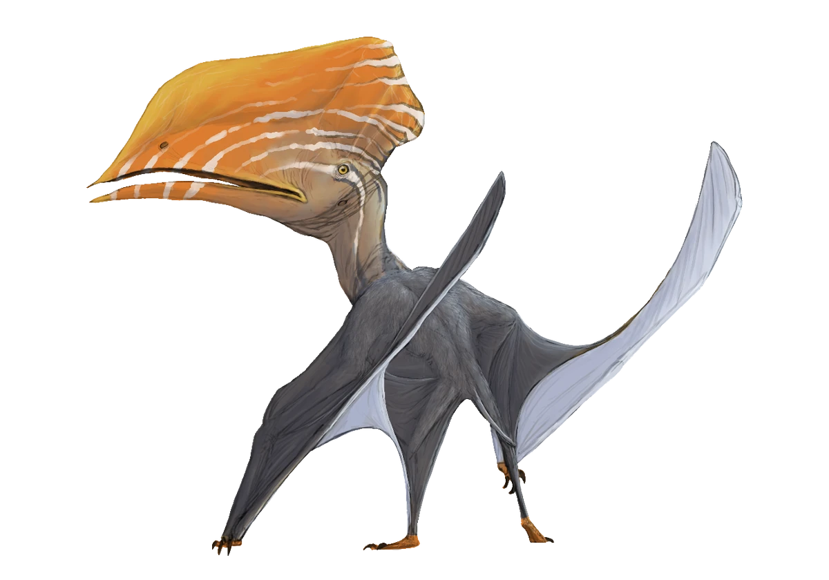 Caupedactylus | SciiFii Wiki | Fandom