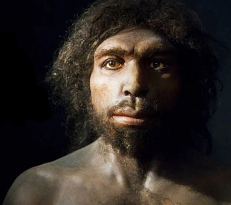Homo luzonensis | SciiFii Wiki | Fandom