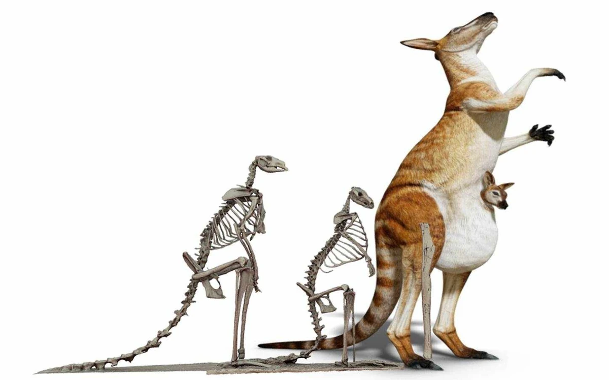 Macropus titan | SciiFii Wiki | Fandom