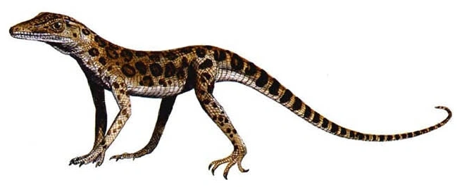 Terrestrisuchus | SciiFii Wiki | Fandom