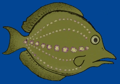 Five-lined constellation fish | SciiFii Wiki | Fandom