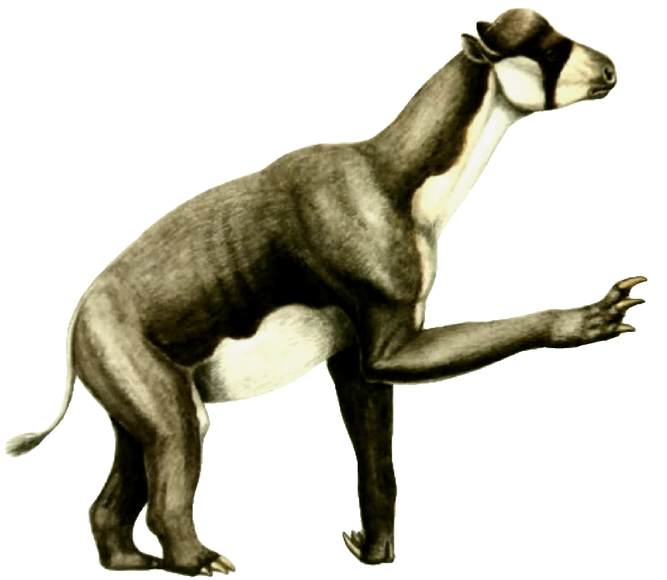 Nothrohippus | SciiFii Wiki | Fandom