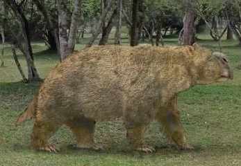 Nototherium | SciiFii Wiki | Fandom