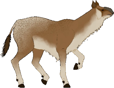 Akada | SciiFii Wiki | Fandom