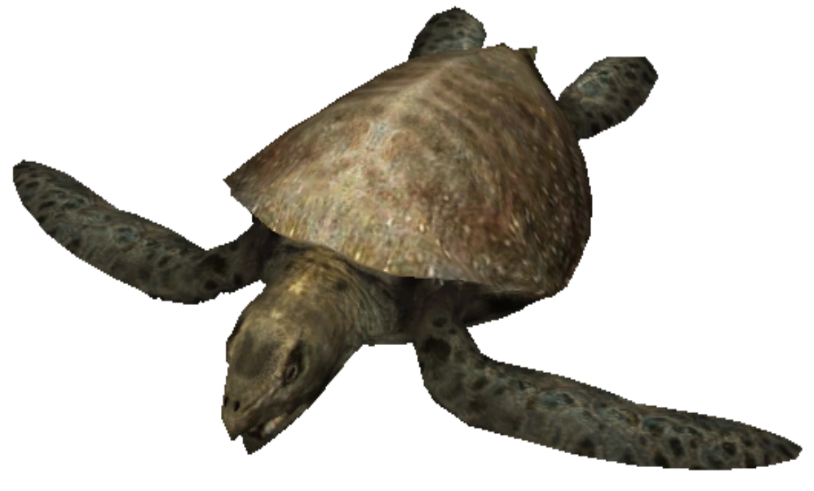 Archelon | SciiFii Wiki | Fandom