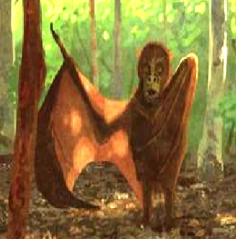 Ahool | SciiFii Wiki | Fandom