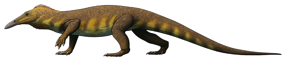 Teraterpeton | SciiFii Wiki | Fandom