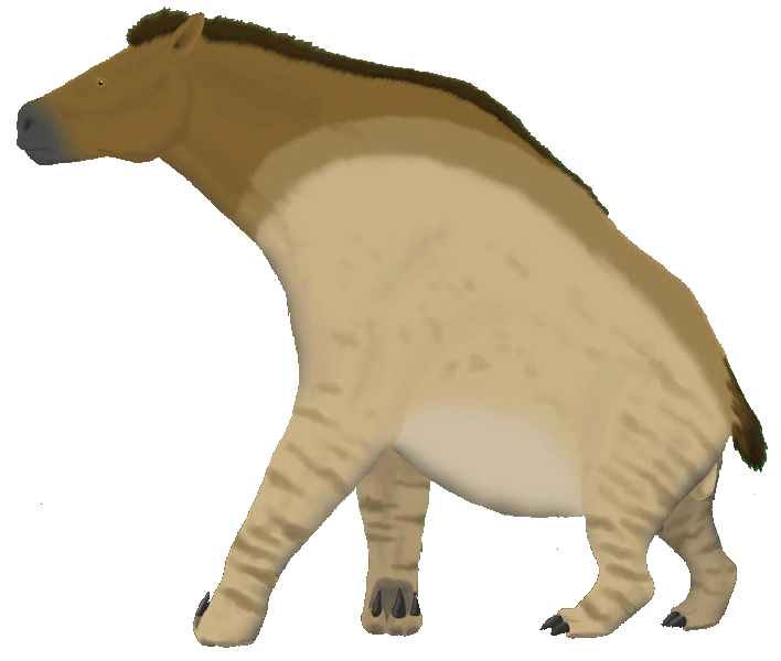 Alaskan chalico | SciiFii Wiki | Fandom