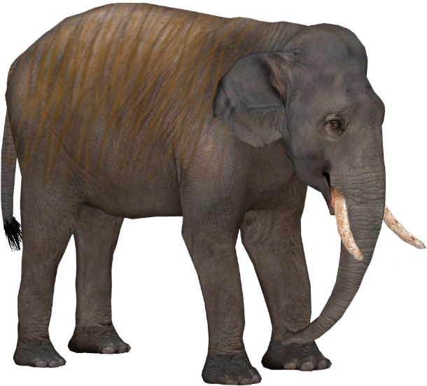 American elephant | SciiFii Wiki | Fandom