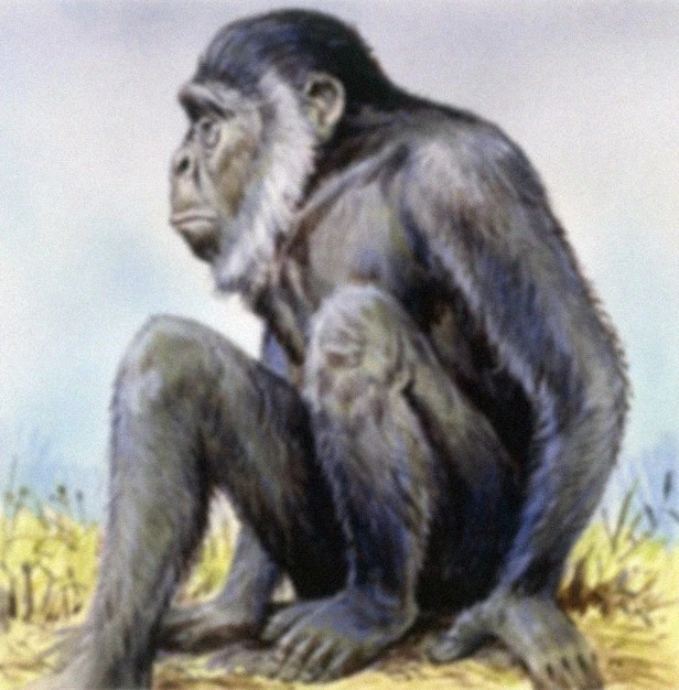 Sivapithecus | SciiFii Wiki | Fandom