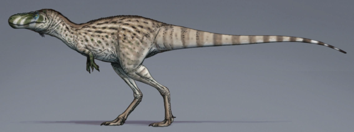 Neanotyrannus | SciiFii Wiki | Fandom