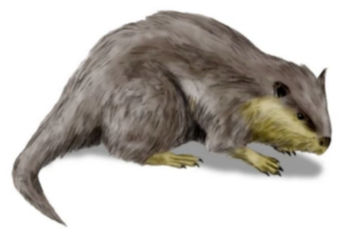 Palaeocastor | SciiFii Wiki | Fandom