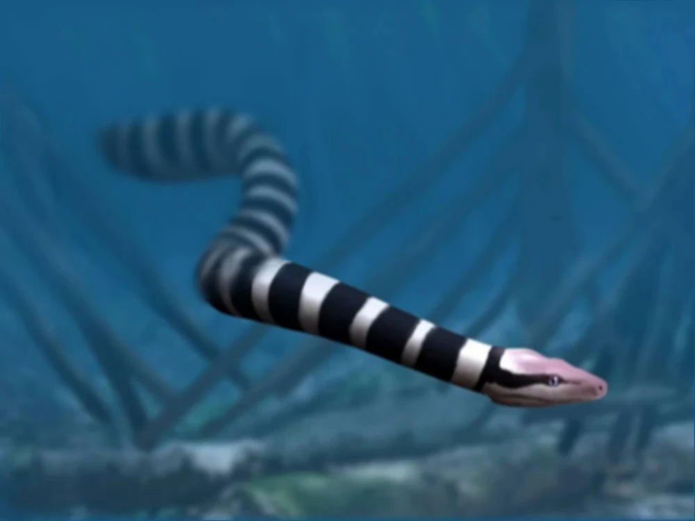 Palaeophis | SciiFii Wiki | Fandom