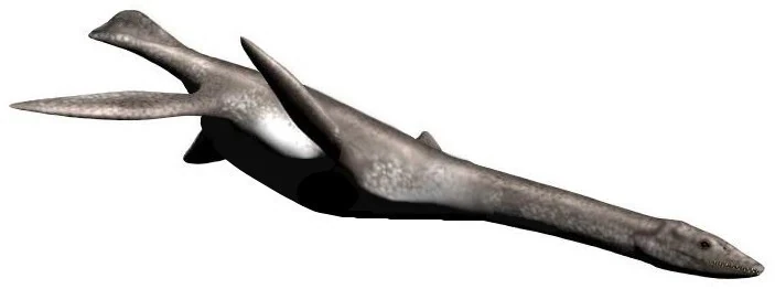 Plesiosaurus | SciiFii Wiki | Fandom
