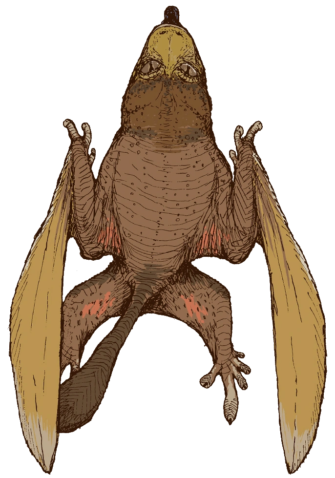 Brown pterogecko | SciiFii Wiki | Fandom